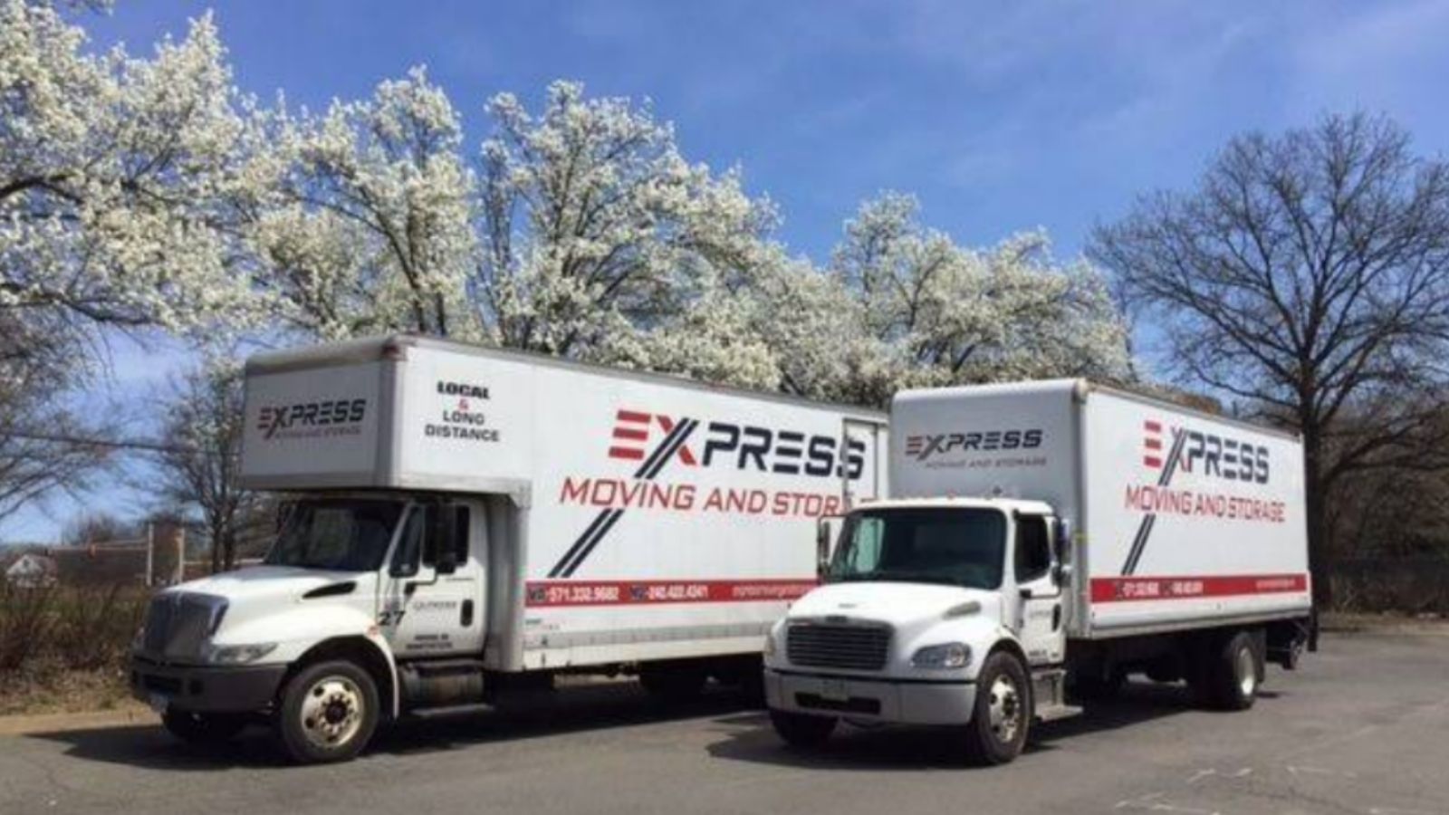 Washington DC Movers | Best Washington DC Moving Company